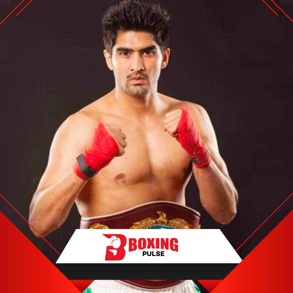 Indian Professional Boxers:भारत के टॉप 10 पेशेवर मुक्केबाज़